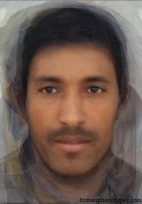 基因助手 GeneU.xyz